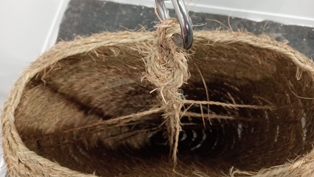 ARCOMadrid 2024: Galería Pelaires y la sorprendente obra de Ana Laura ...